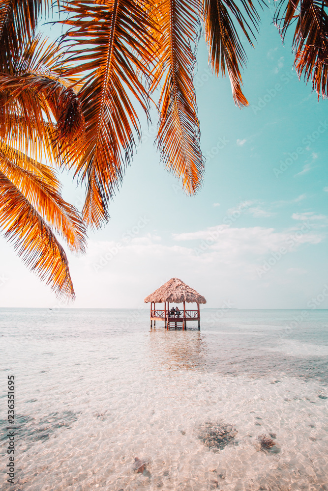 Tropical hut in water Stock Photo | Adobe Stock