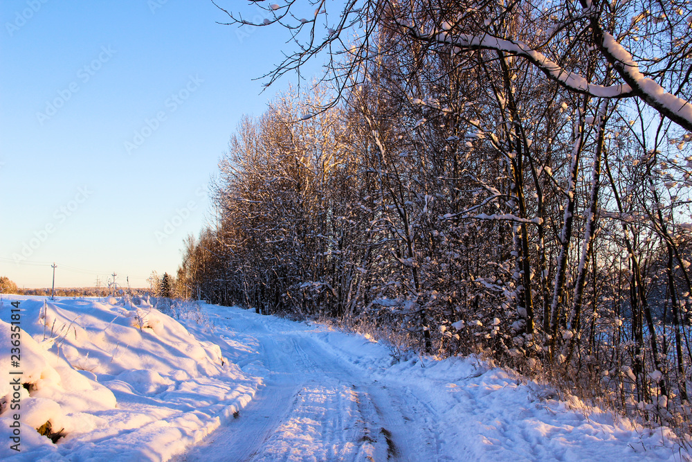 Beautiful Snowy Road