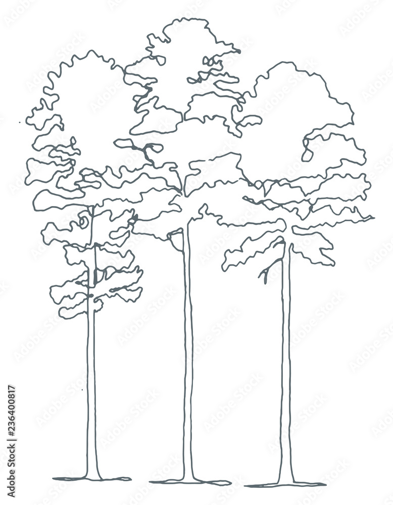 Continuous Line Drawing Tree Stock Vector | Adobe Stock