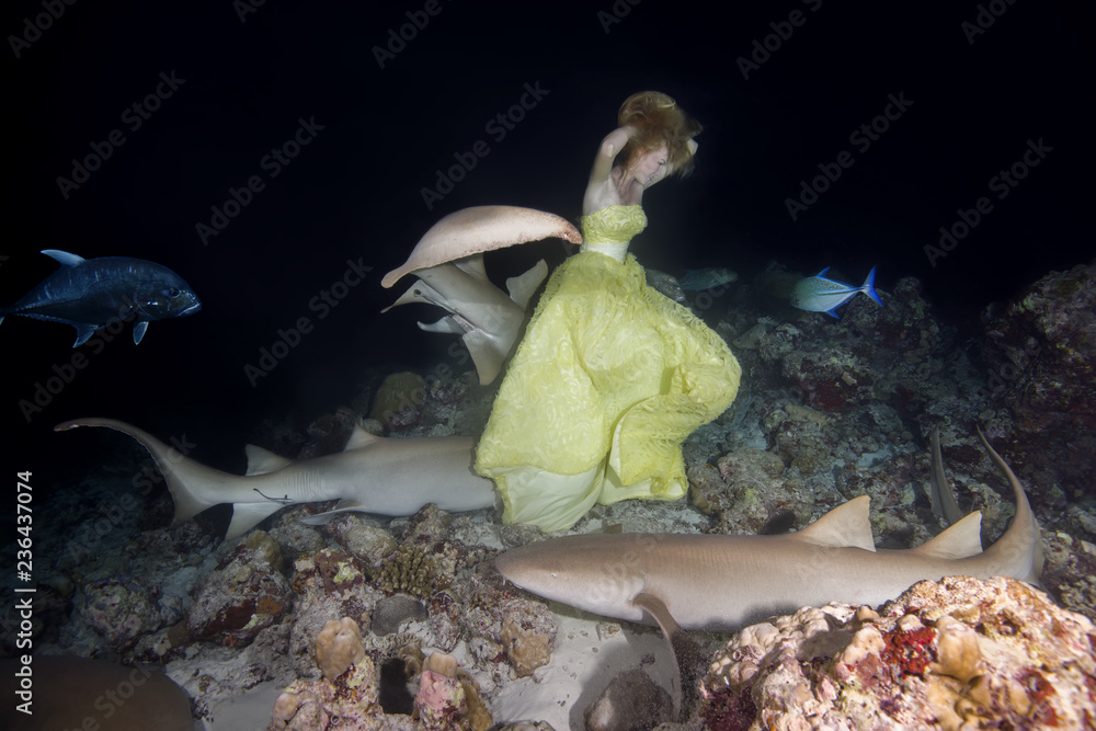 Night dance with sharks. Young beautiful woman in yellow dress dancing ...