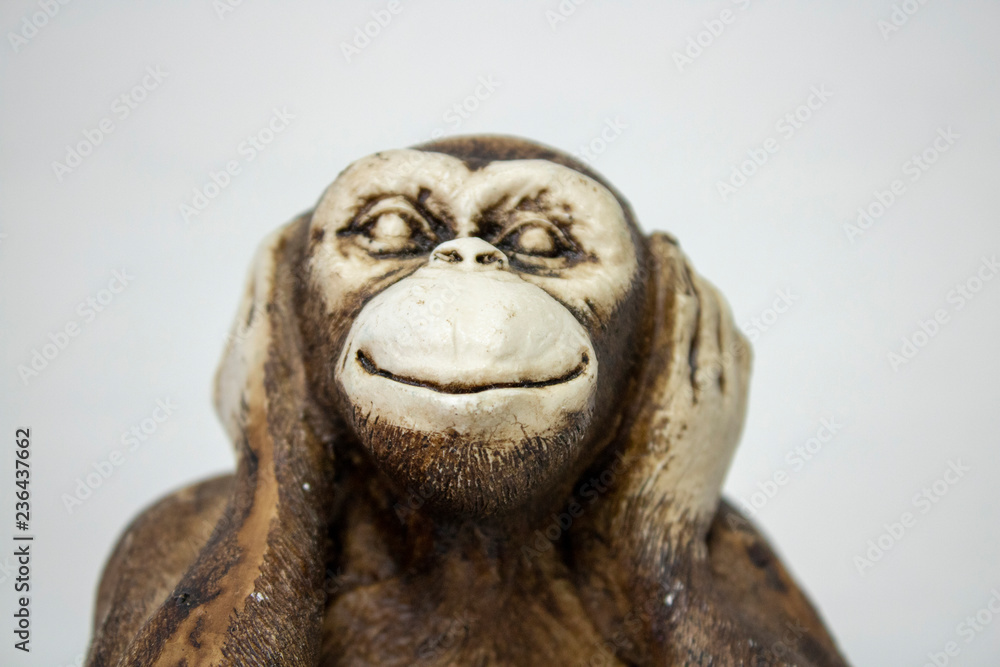 Real Evil Monkey