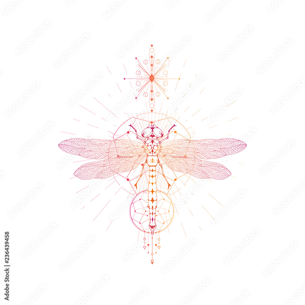 Vector illustration with hand drawn dragonfly and Sacred geometric ...