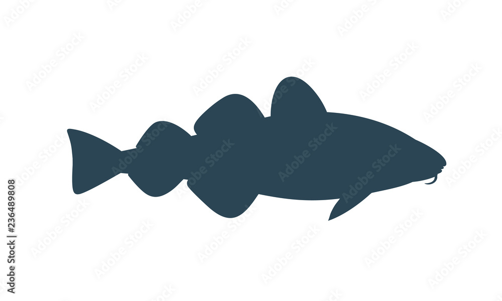 Atlantic cod silhouette. Isolated cod on white background Stock Vector ...