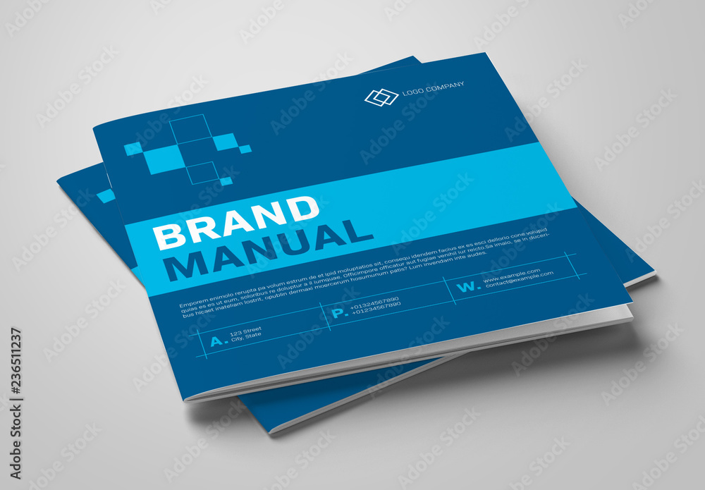 Brand Manual Layout with Blue Accents Stock Template | Adobe Stock