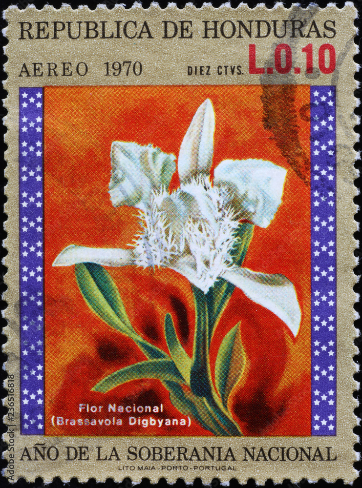 National flower of Honduras on postage stamp Stock Photo | Adobe Stock