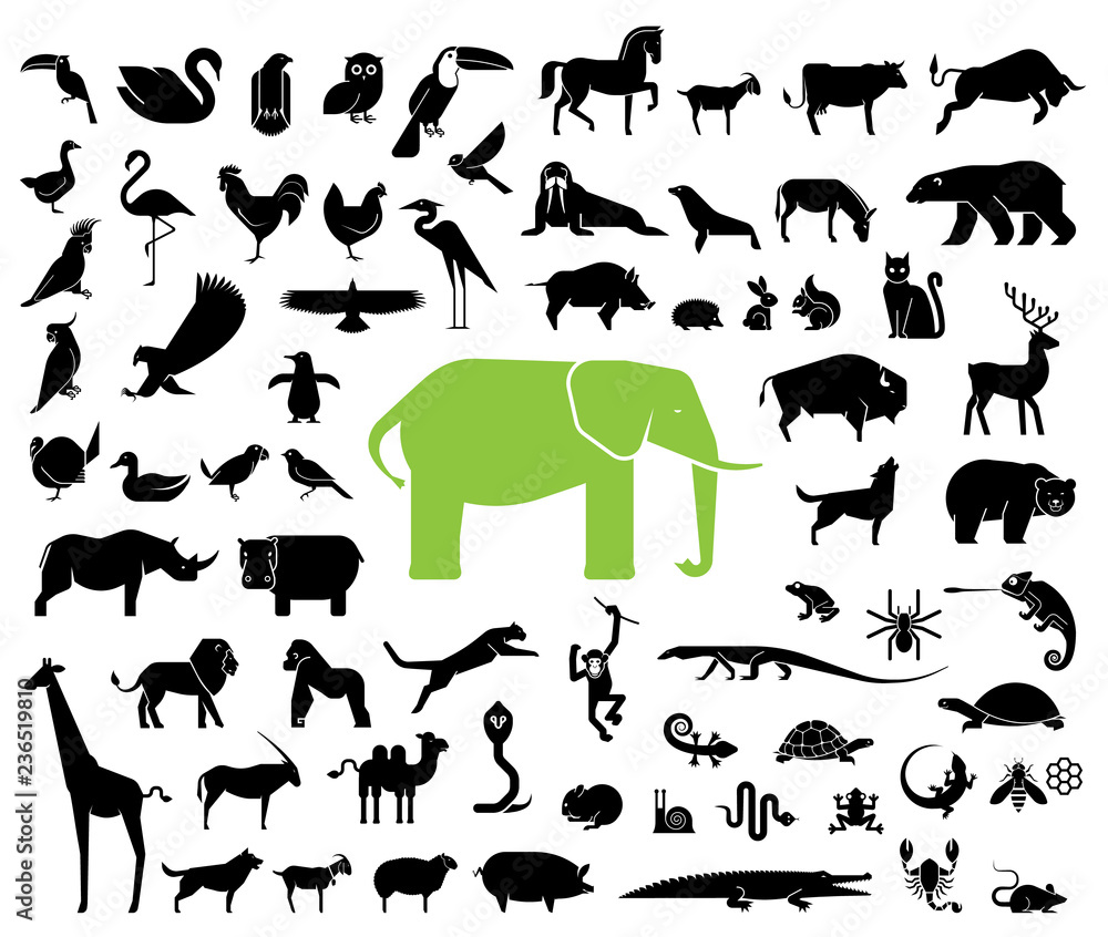 Large collection of geometrically stylized land animal icons. Pictogram ...