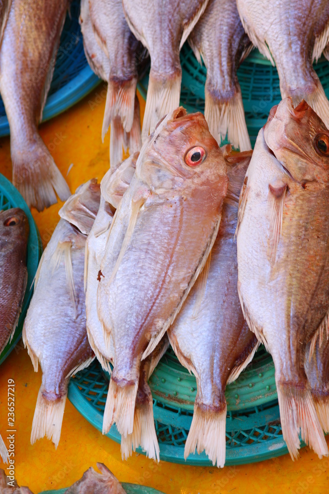 Snappers at Jagalchi fish market, Busan, Korea Stock Photo | Adobe Stock