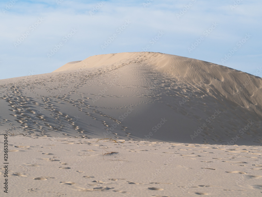 Dry and arid sand dunes in a western Texas state park. Stock Photo ...