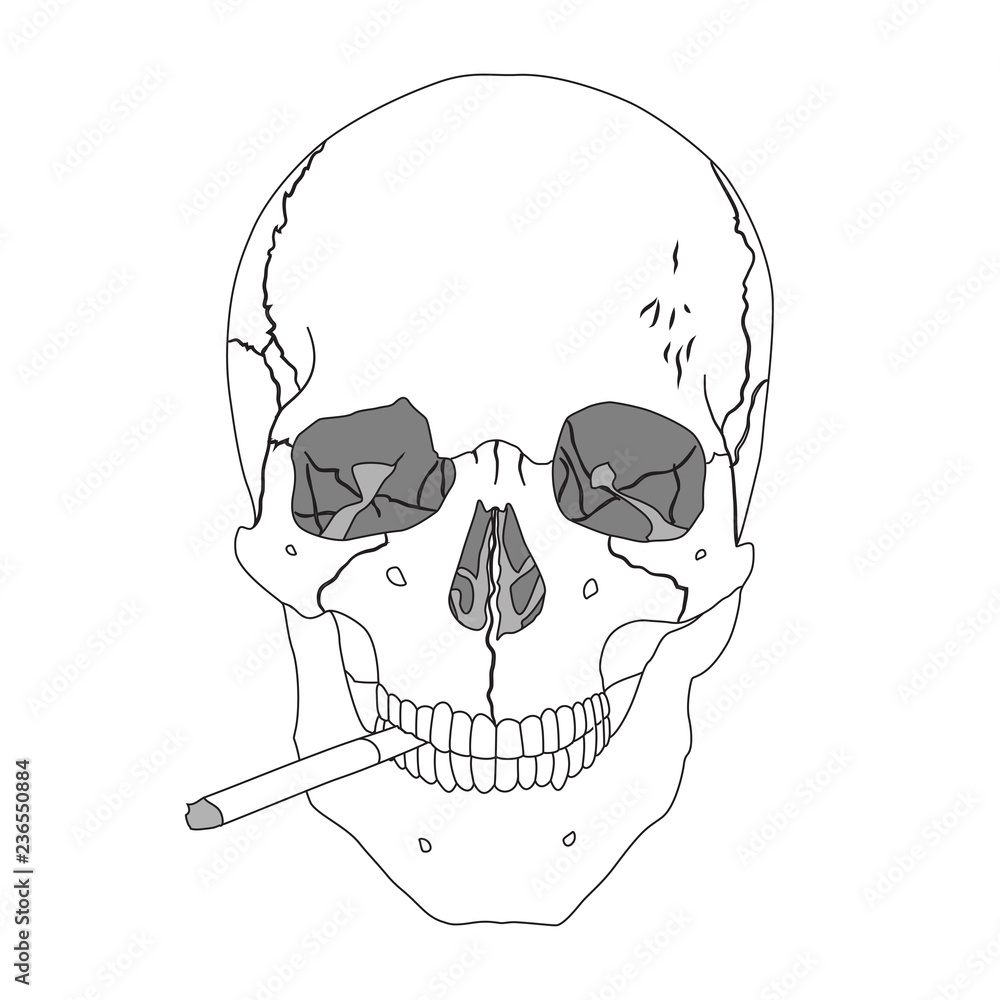 Skull Smoking Cigarette