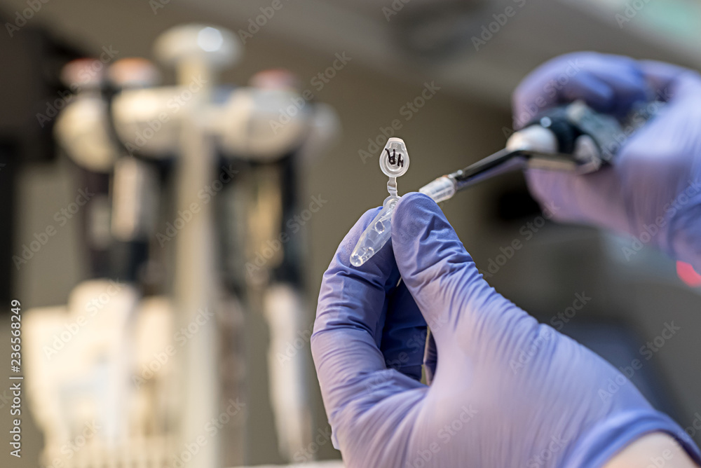 Preparation of a DNA sonication mix Stock Photo | Adobe Stock