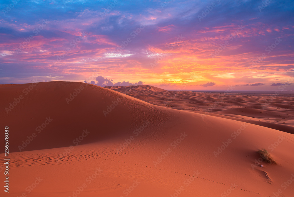 Sahara Desert At Sunrise