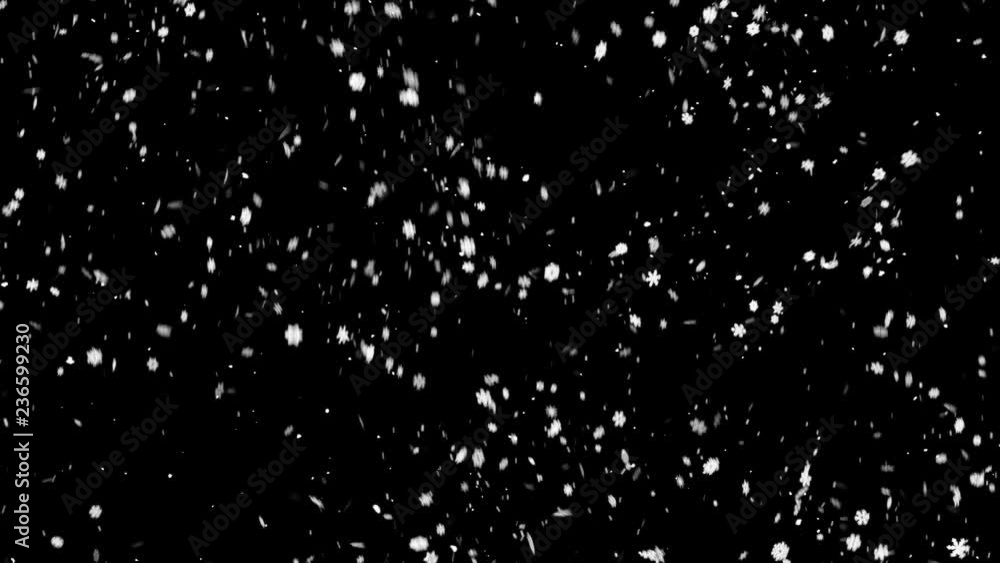 Vidéo Stock Falling Realistic Natural Snowflakes Particles from top to ...