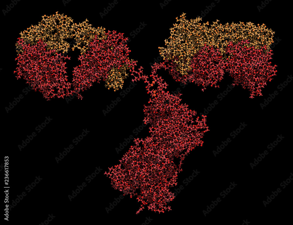 IgG2a monoclonal antibody (immunoglobulin). Many biotech drugs are ...