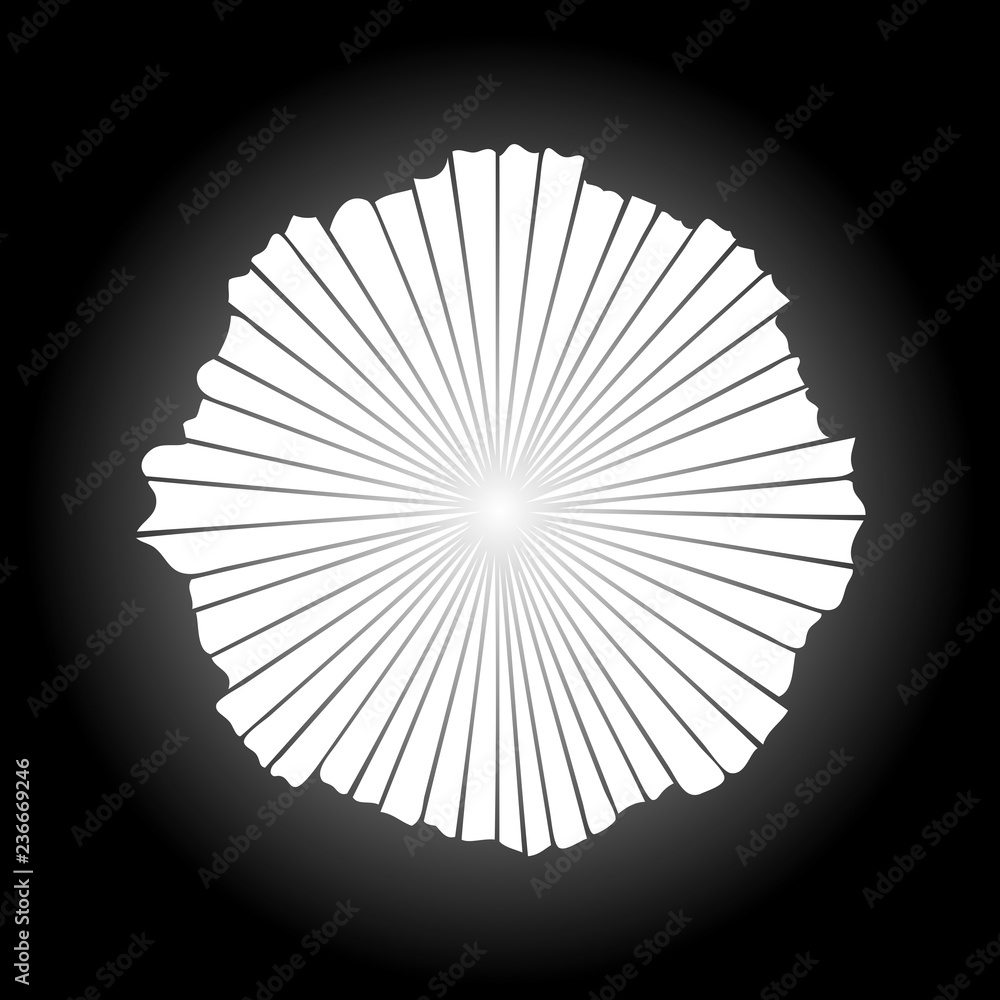 Rays Tattoo Template