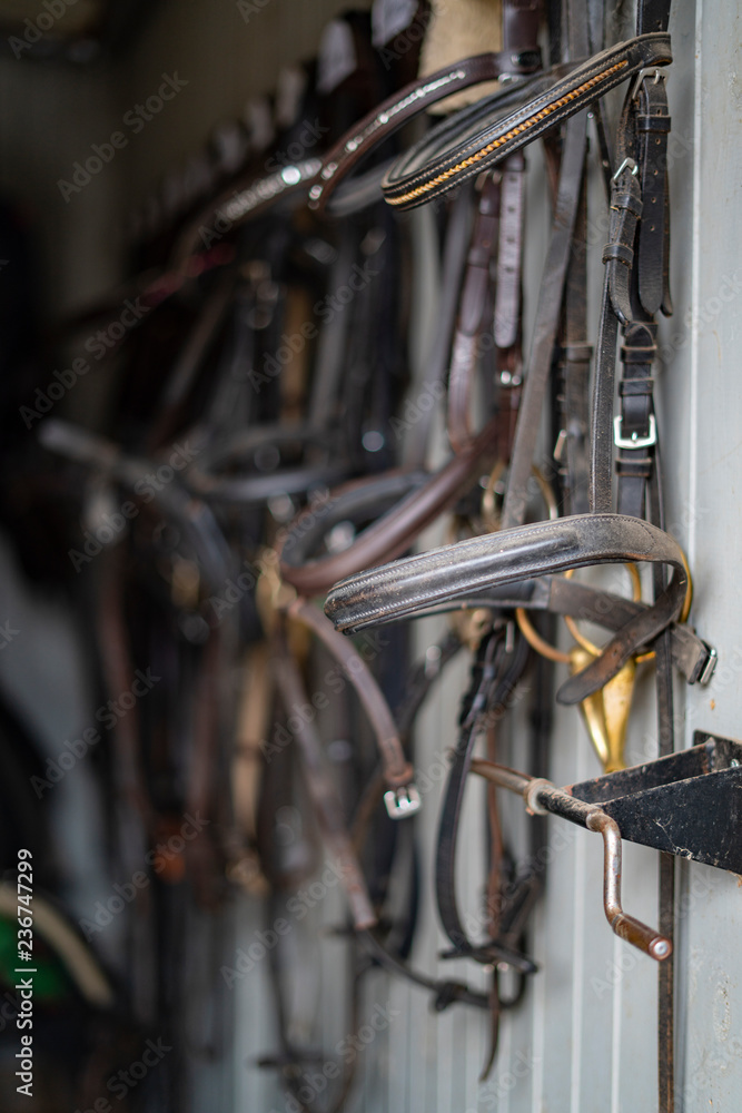 Zaumzeug im Stall Stock Photo | Adobe Stock