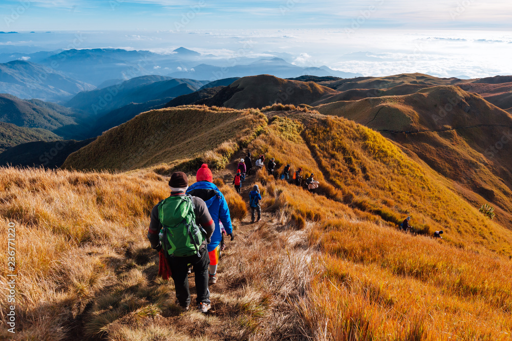 Hiking trail in Mount Pulag, the second highest peak, in the ...