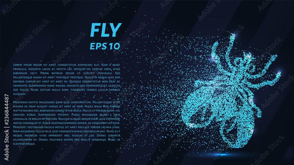 Fly blue points of light. The fly is made up of particles. Vector ...