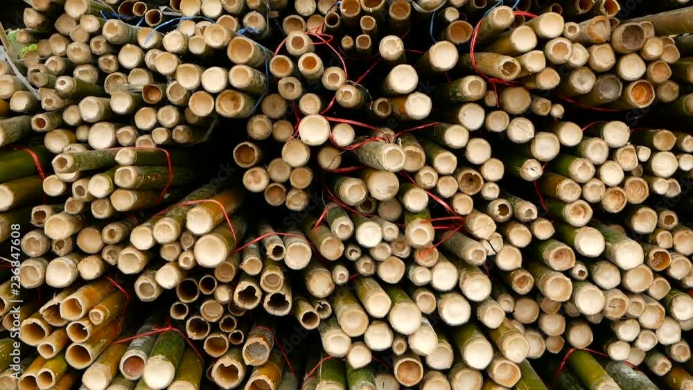 Round cross sliced bamboo trunk bundles in stack prepared for use as a ...