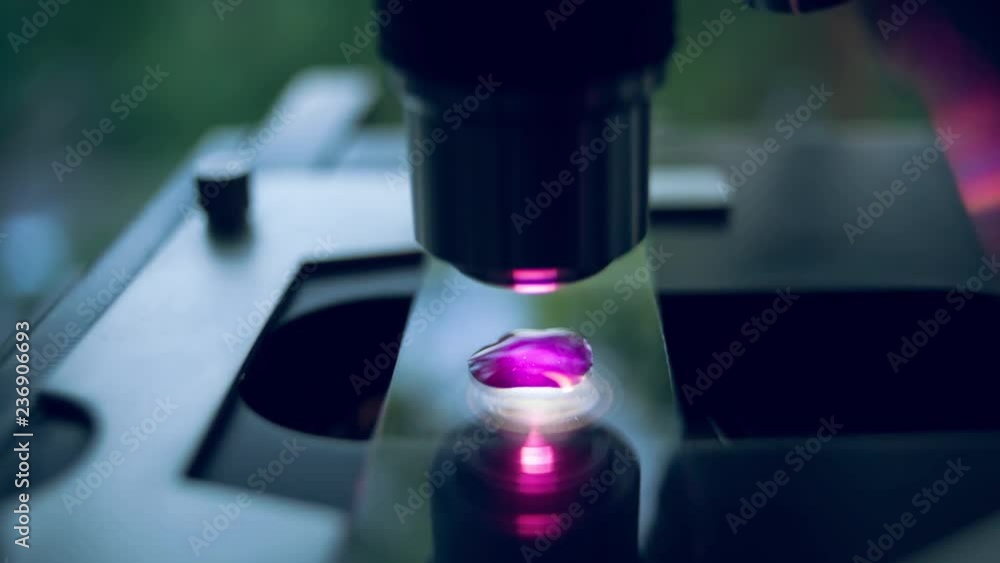 Liquid under a microscope. Microscope is used for conducting planned ...