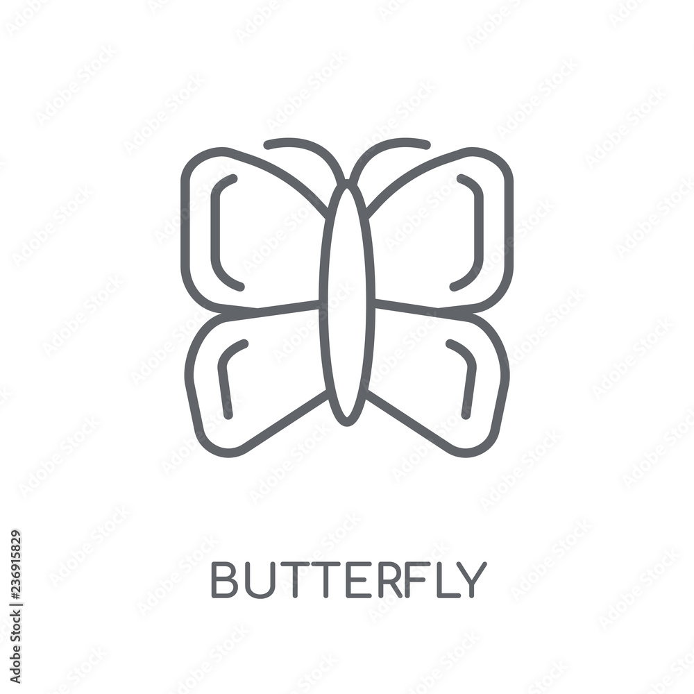 Butterfly linear icon. Modern outline Butterfly logo concept on white ...