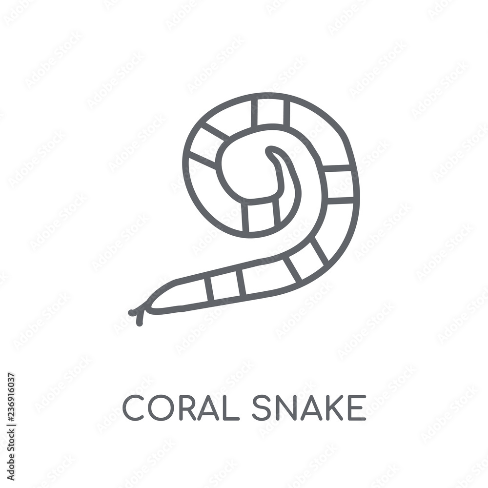 coral snake linear icon. Modern outline coral snake logo concept on ...