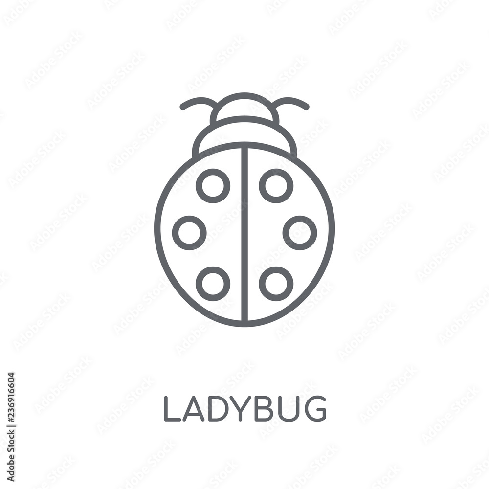 Ladybug linear icon. Modern outline Ladybug logo concept on white ...