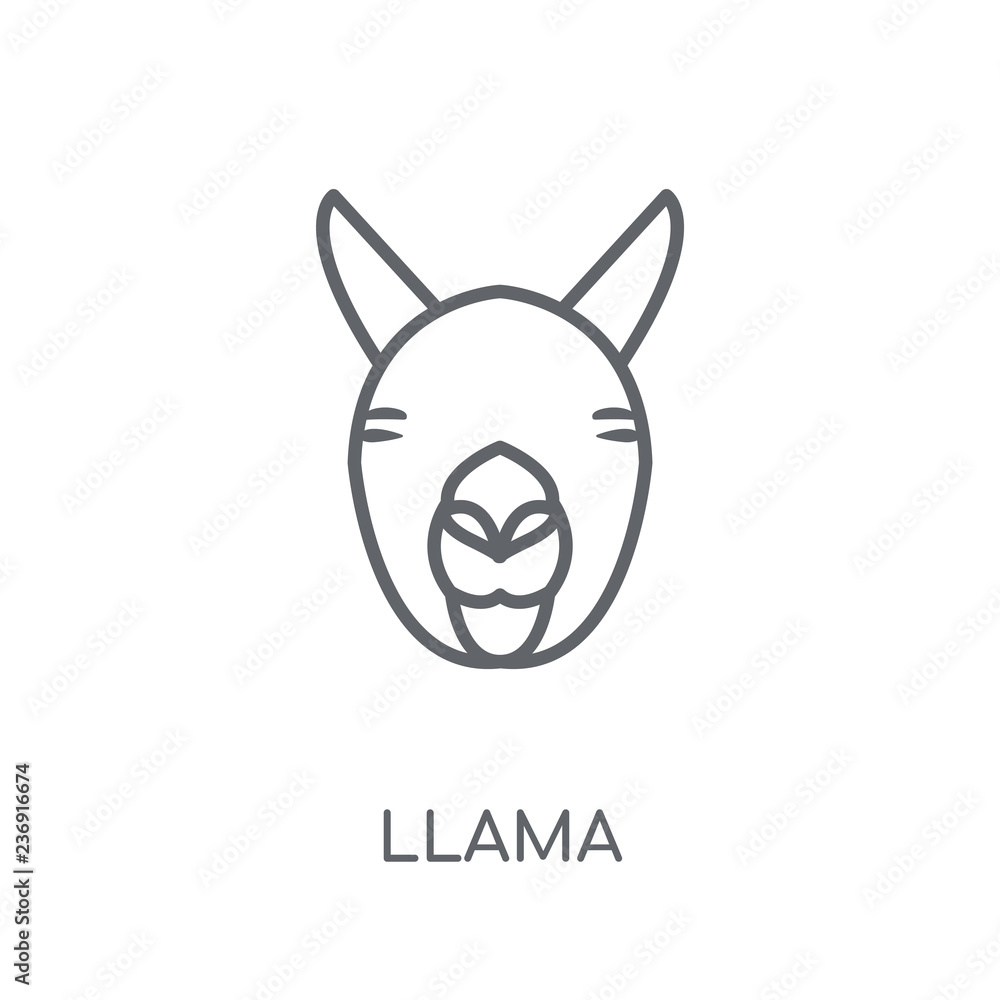 Llama linear icon. Modern outline Llama logo concept on white ...