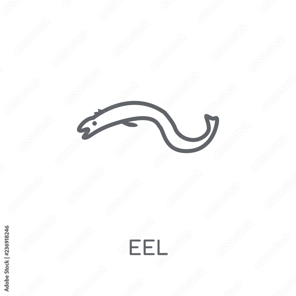 Eel linear icon. Modern outline Eel logo concept on white background ...