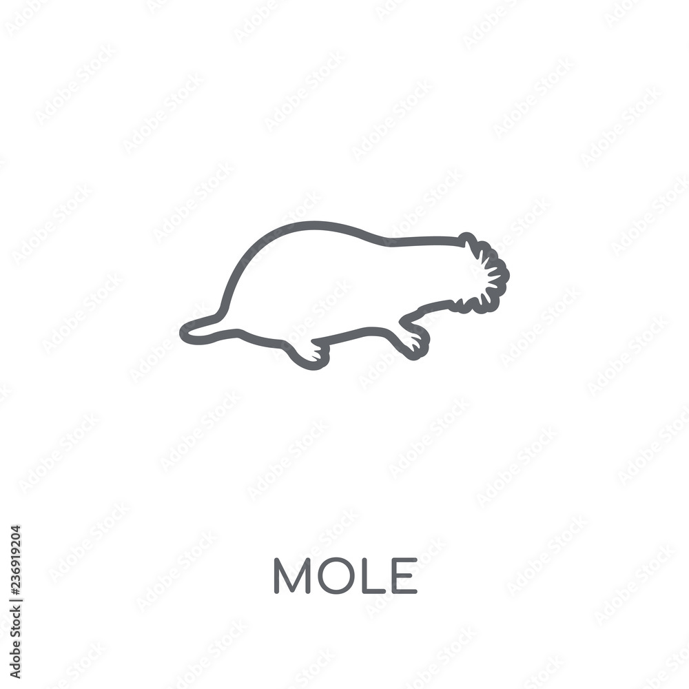 Mole linear icon. Modern outline Mole logo concept on white background ...
