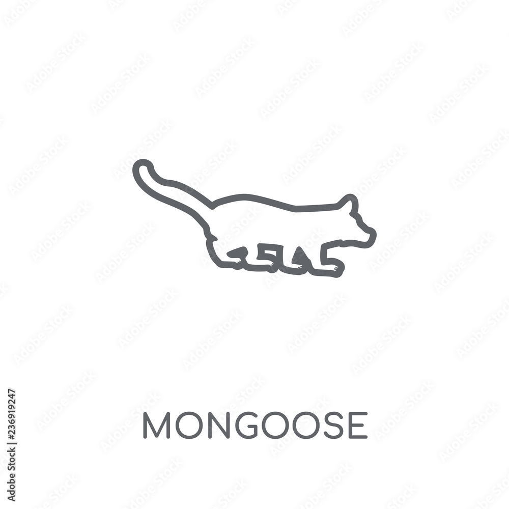 Mongoose Metrics Logo