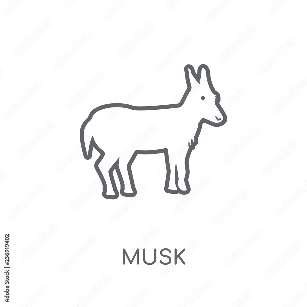 Musk linear icon. Modern outline Musk logo concept on white background ...