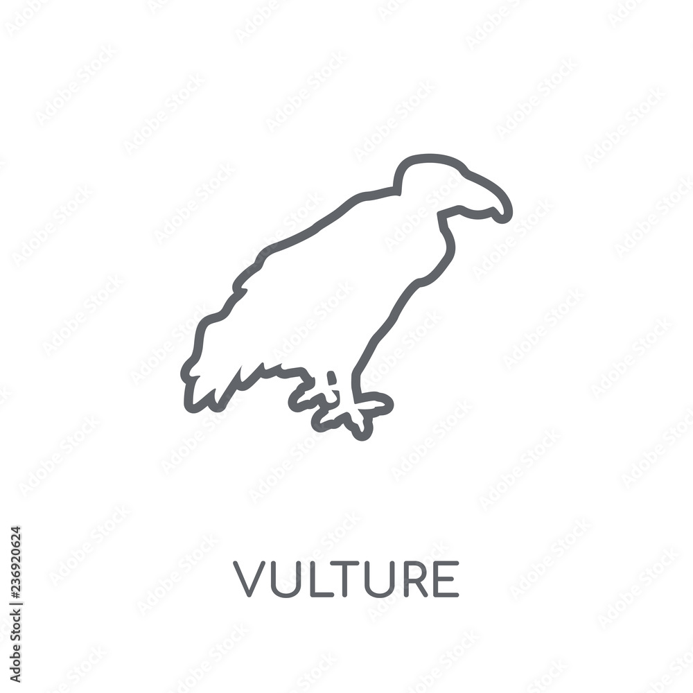 Vulture linear icon. Modern outline Vulture logo concept on white ...