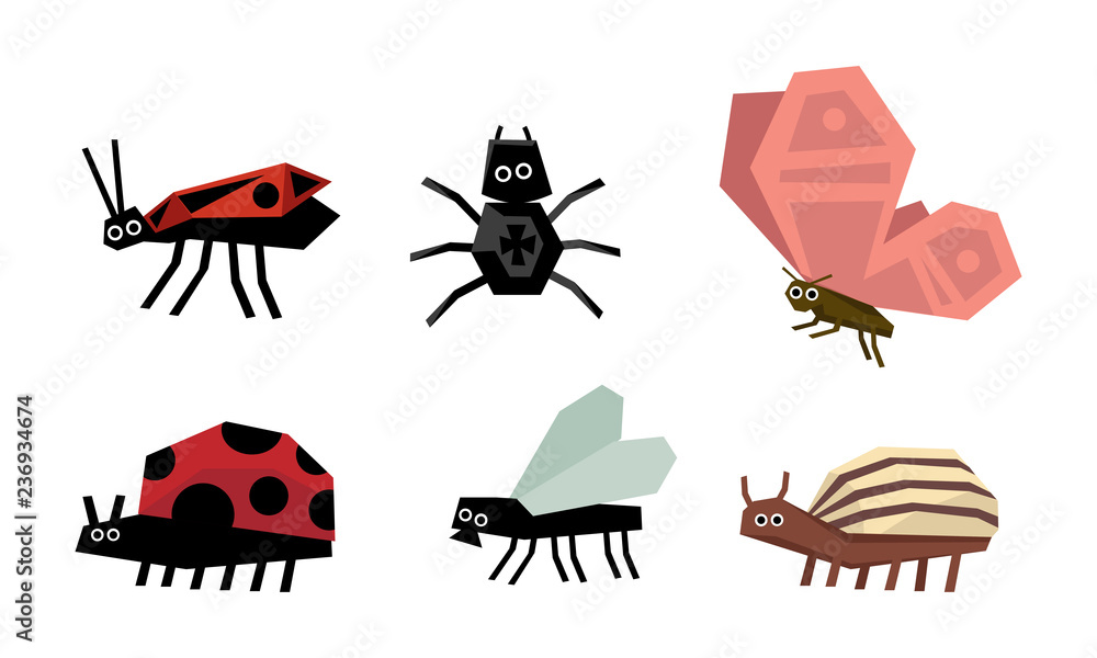 Geometric insects set, spider, bug, ladybug, colorado potato beetle ...
