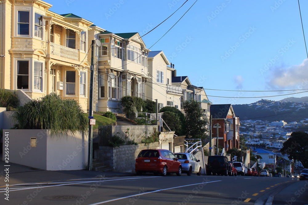 Beautiful street in Wellington, New Zealand Stock Photo | Adobe Stock