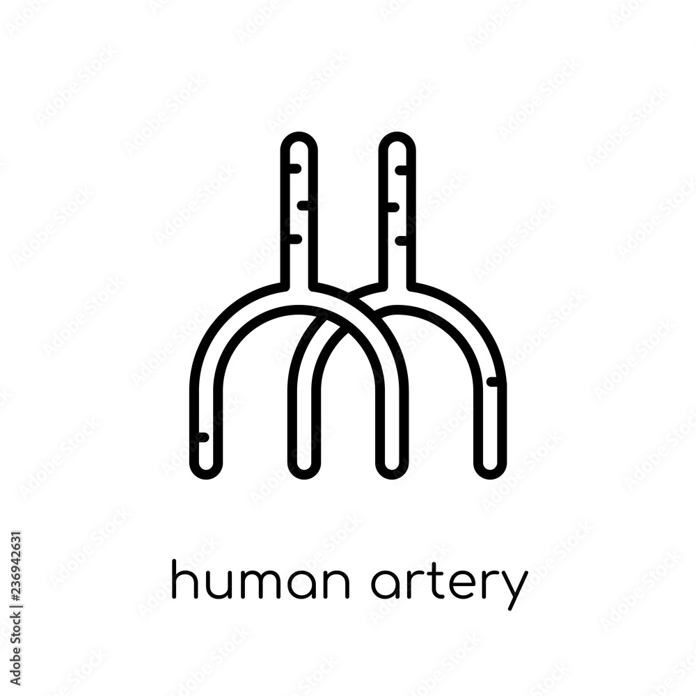 Human Artery icon. Trendy modern flat linear vector Human Artery icon ...
