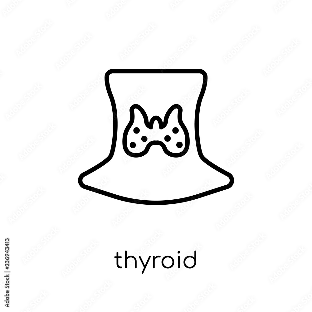 Thyroid icon. Trendy modern flat linear vector Thyroid icon on white ...