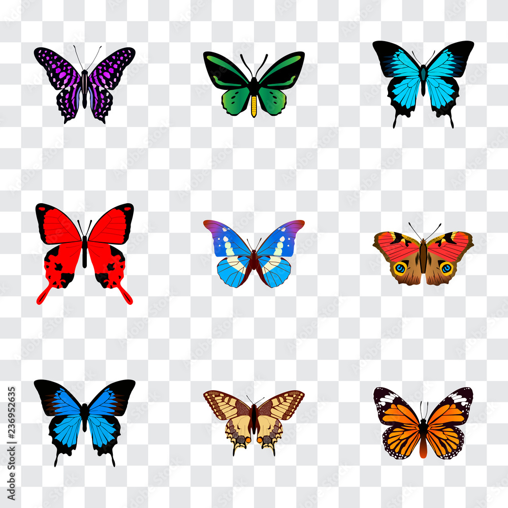 Animal Symbols Of Beauty
