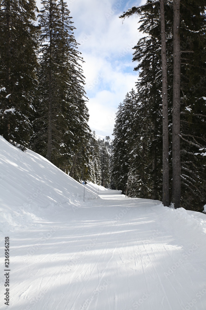 Piste de ski traversant une forêt de sapins avec ciel bleu Stock Photo ...
