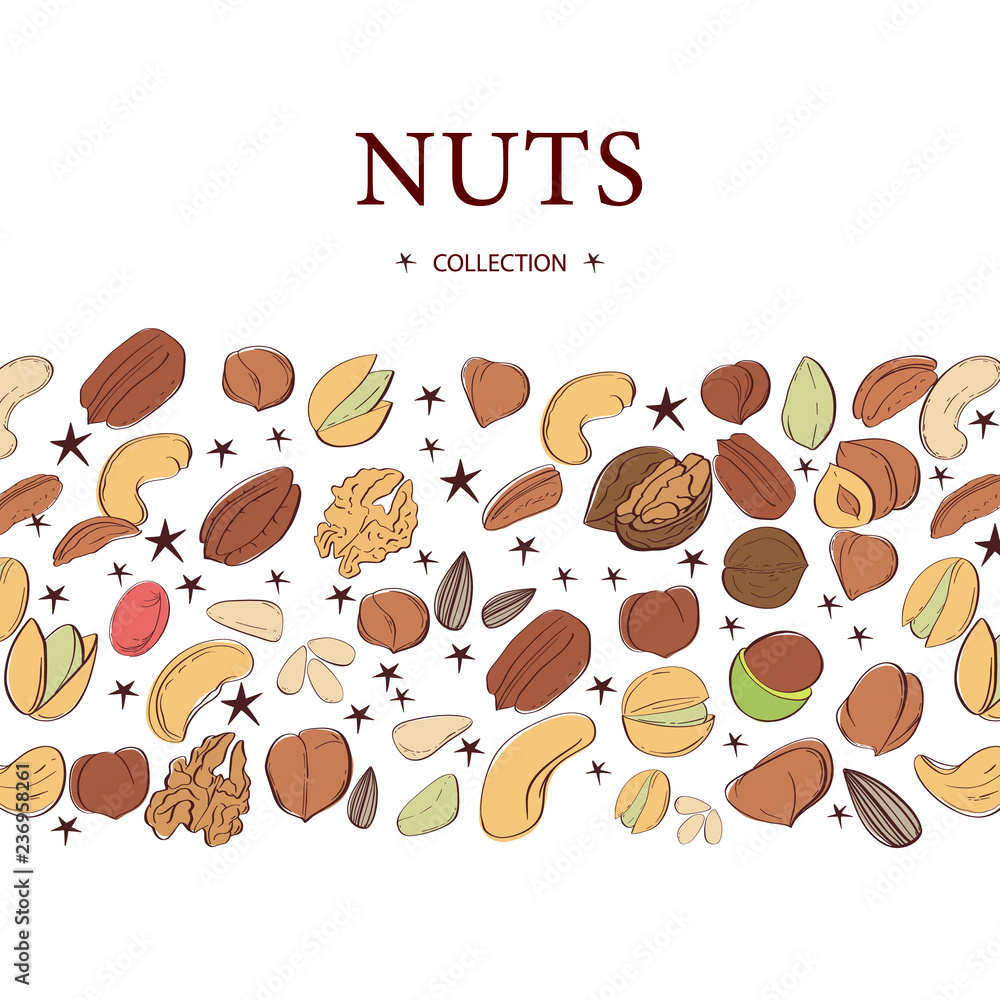 Nuts and seeds banners. Vector Hand drawn objects . Isolated on white ...