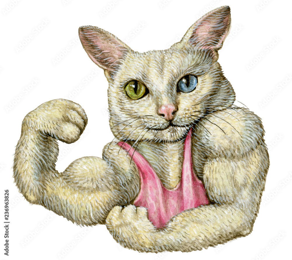 funny white cat champion bodybuilder. cartoon illustration watercolor ...