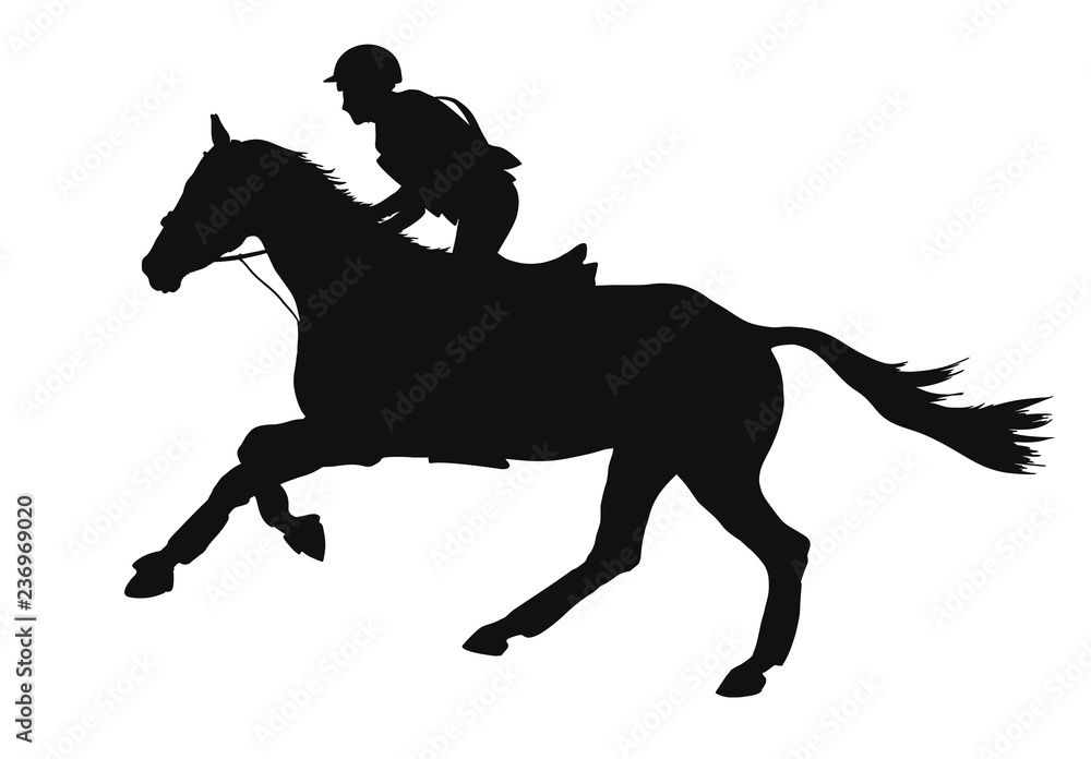 Equestrian sport, eventing competition, silhouette of a rider. Stock ...