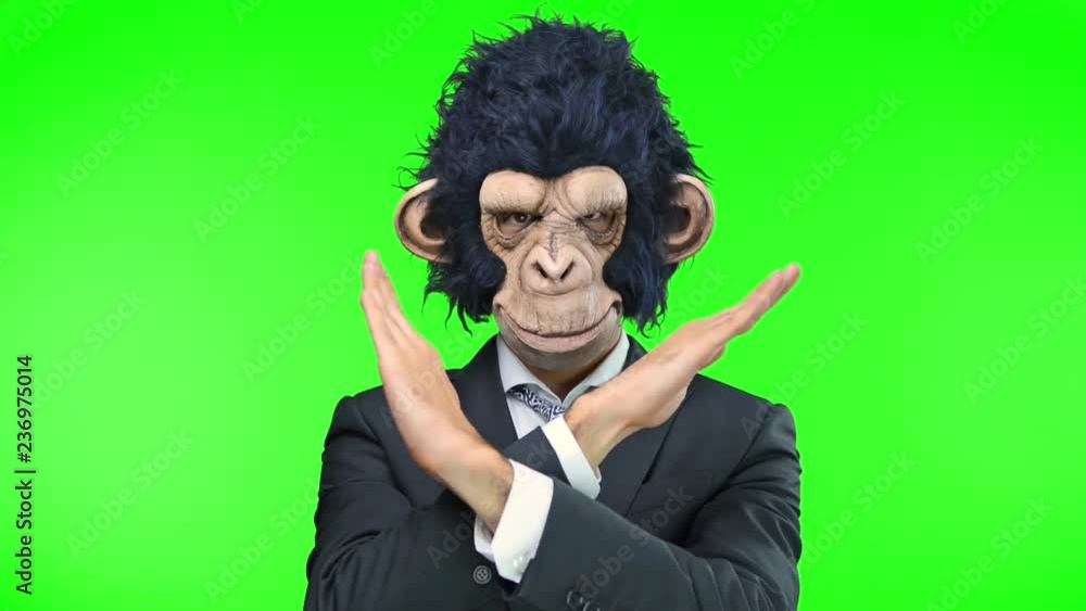 Monkey man on green screen chroma key background Stock Video | Adobe Stock