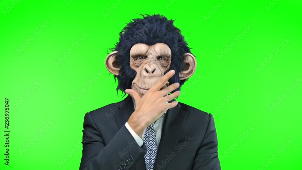 Monkey man on green screen chroma key background Stock 비디오 | Adobe Stock