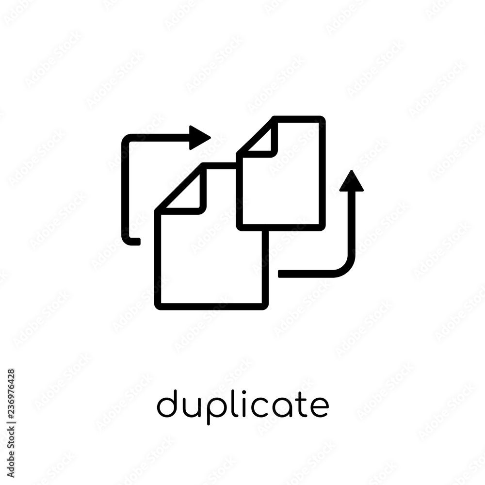 Duplicate Icon