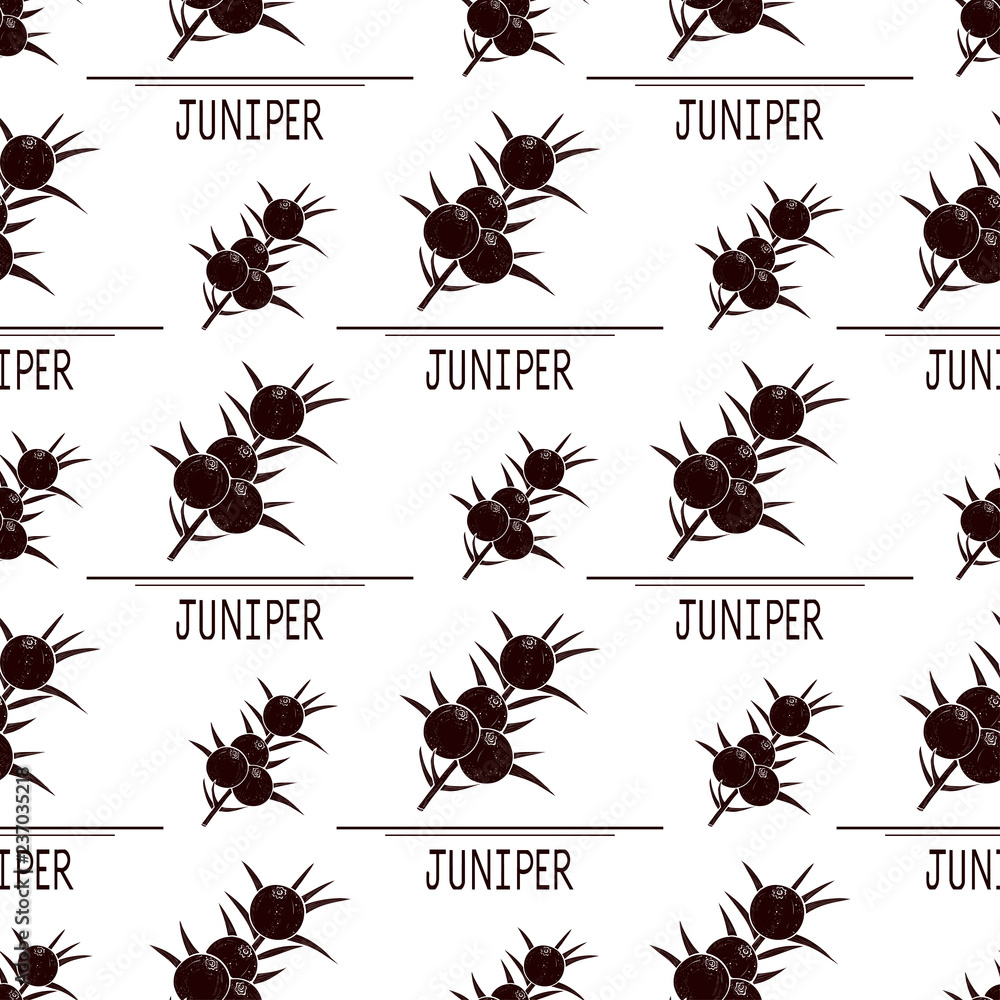 Juniper. Berry, leaves. Background, wallpaper, seamless, texture. Black ...