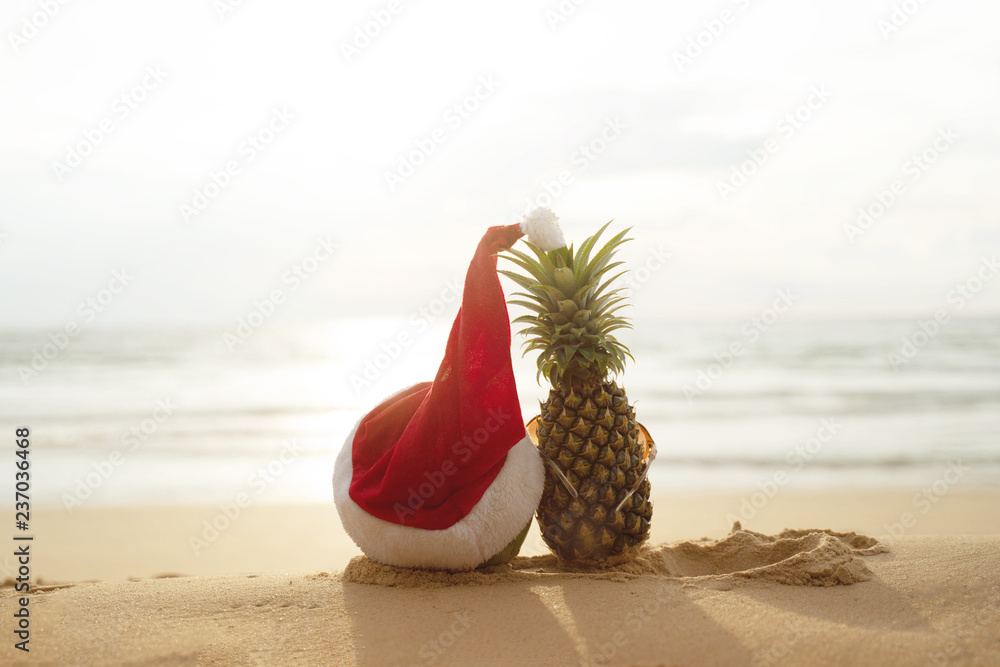 Coconut Holiday with glasses and Santa Claus hat and pineapple,Concept ...