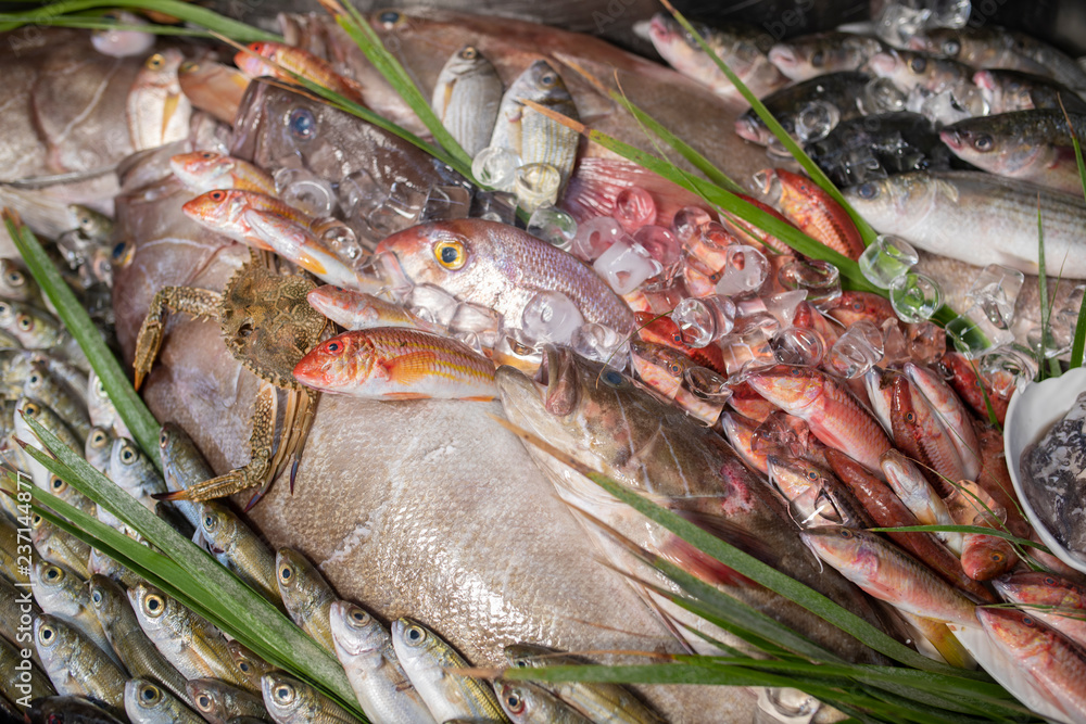 Lobster, octopus, red mullet, boops boops, sea bass, sea bream, white ...