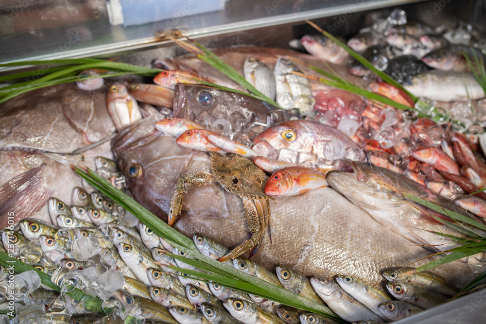 Lobster, octopus, red mullet, boops boops, sea bass, sea bream, white ...