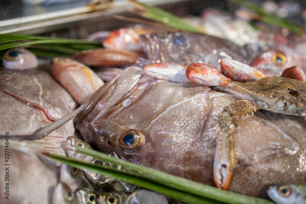 Lobster, octopus, red mullet, boops boops, sea bass, sea bream, white ...
