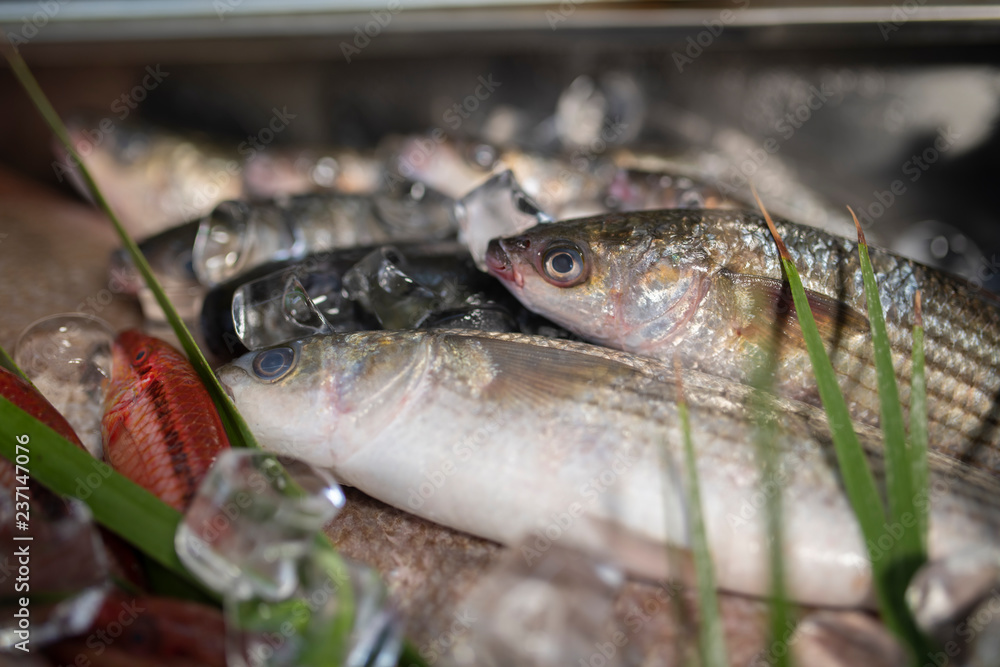 Lobster, octopus, red mullet, boops boops, sea bass, sea bream, white ...
